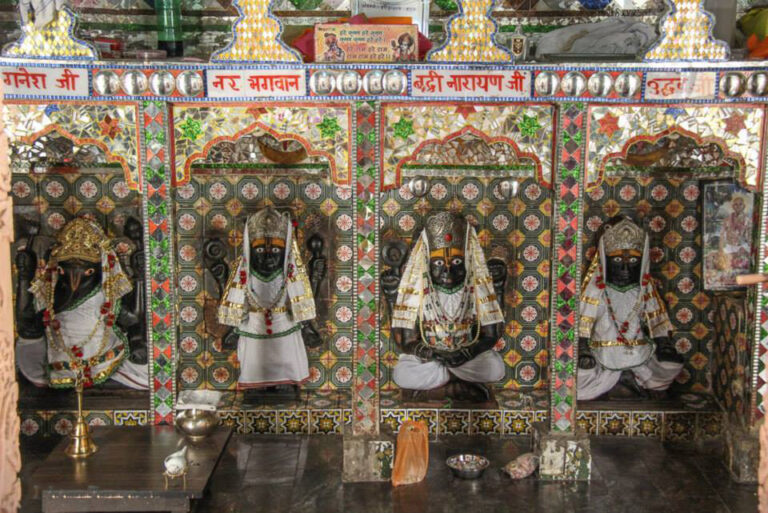 Aadi-Badri hill of Braj to be declared as protected forest area ...