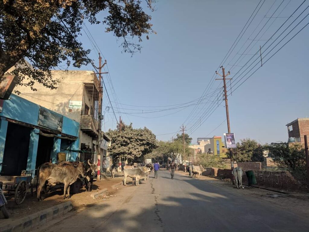 The grand plan for Banke Bihari Corridor - Vrindavan Today